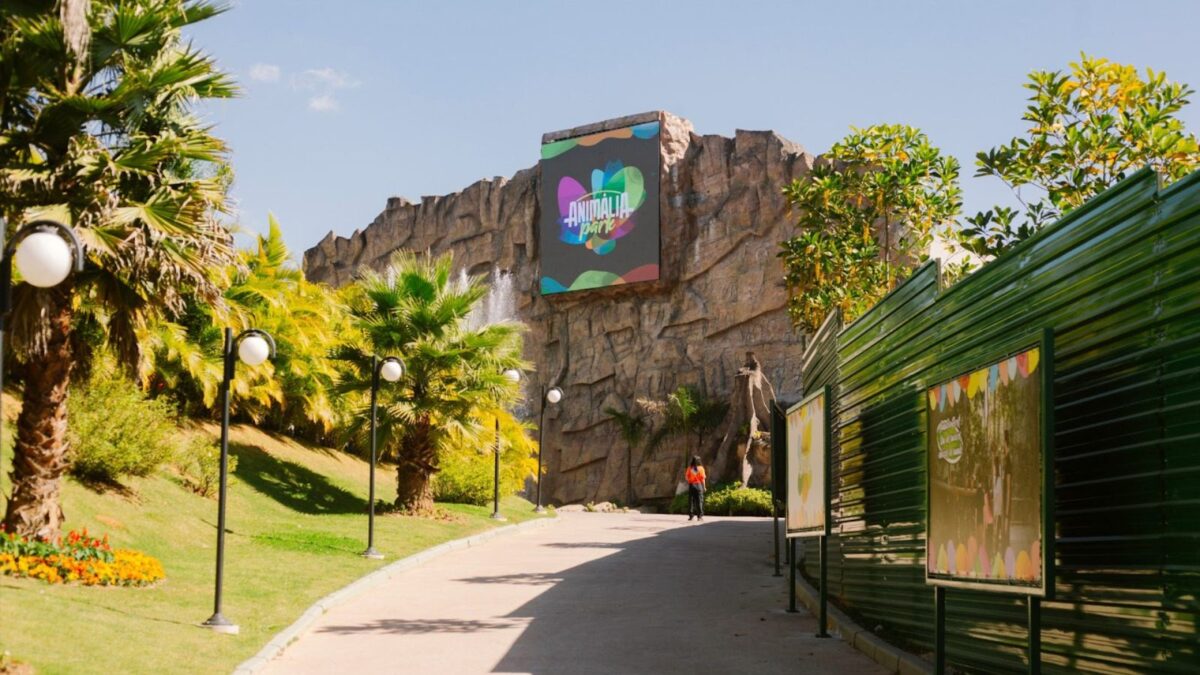 Animalia Park: guia da atração e hospedagem | Blog HCC Hotels
